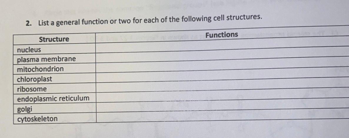 Solved 2. List a general function or two for each of the | Chegg.com