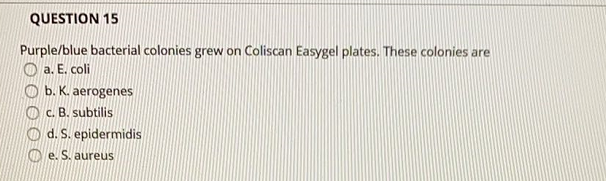 Solved QUESTION 15 Purple/blue bacterial colonies grew on | Chegg.com