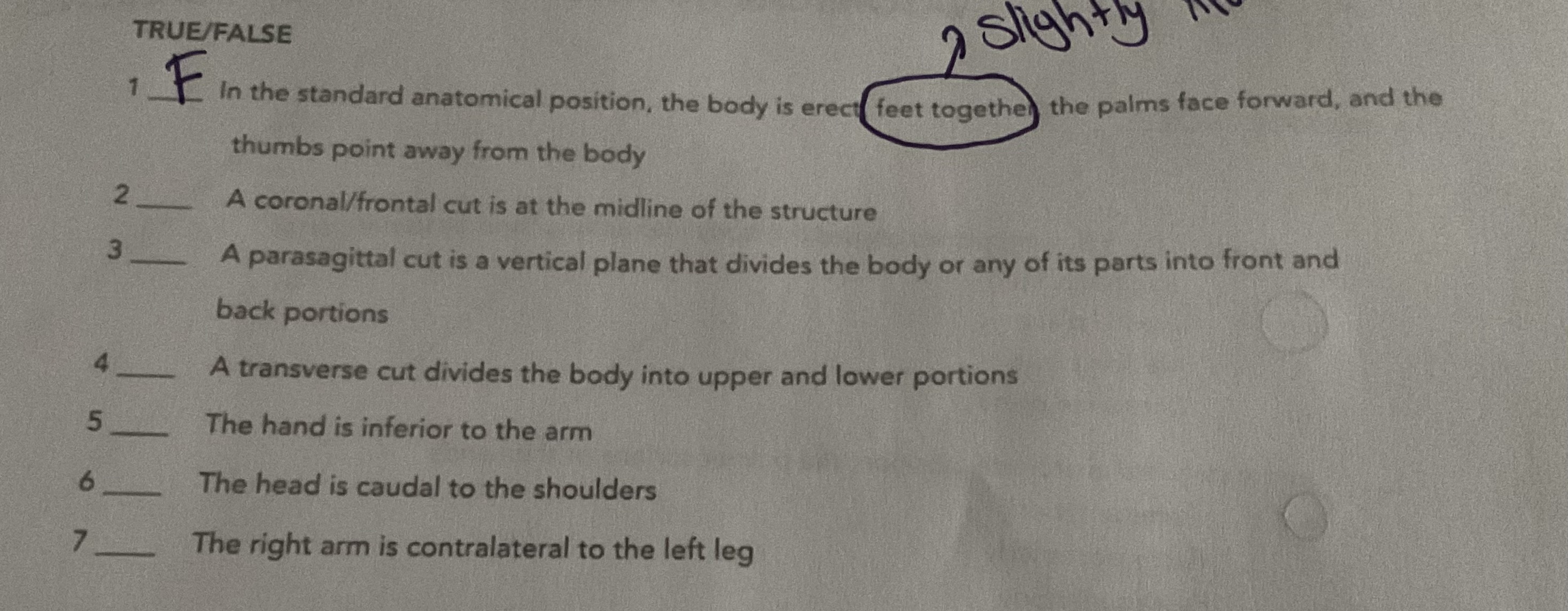 Solved TRUE/FALSE 1 In the standard anatomical position, the | Chegg.com