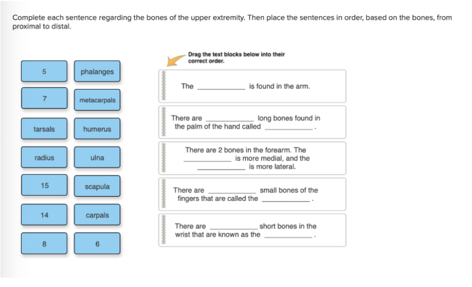 Solved Complete each sentence regarding the bones of the | Chegg.com