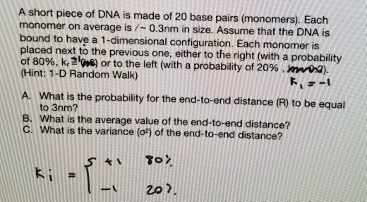 Solved A short piece of DNA is made of 20 base pairs | Chegg.com
