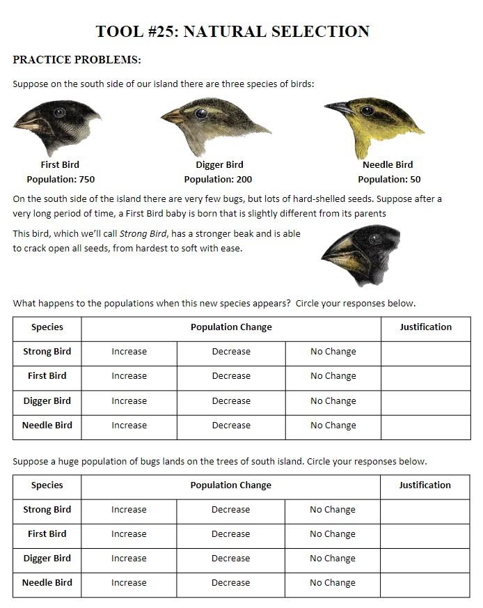 TOOL \#25: NATURAL SELECTION PRACTICE PROBLEMS: | Chegg.com