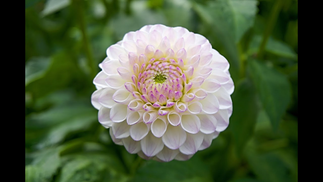 Solved A basic line detection algorithm looks at the | Chegg.com