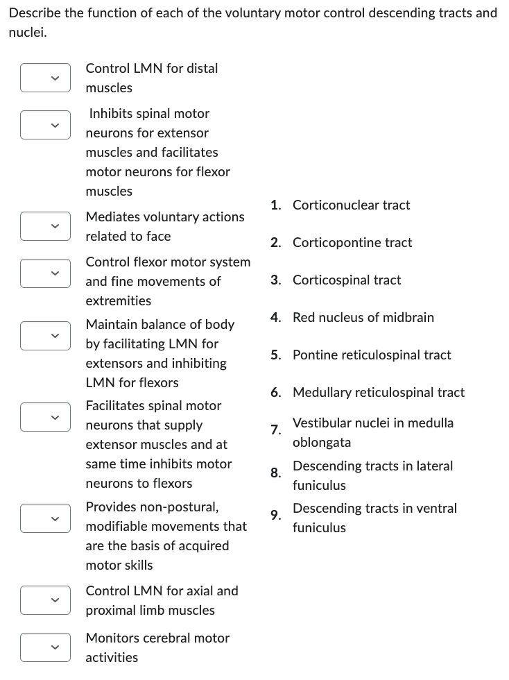 Solved Describe the function of each of the voluntary motor | Chegg.com