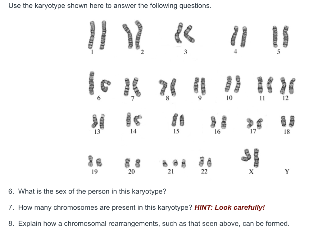 Solved Use The Karyotype Shown Here To Answer The Following