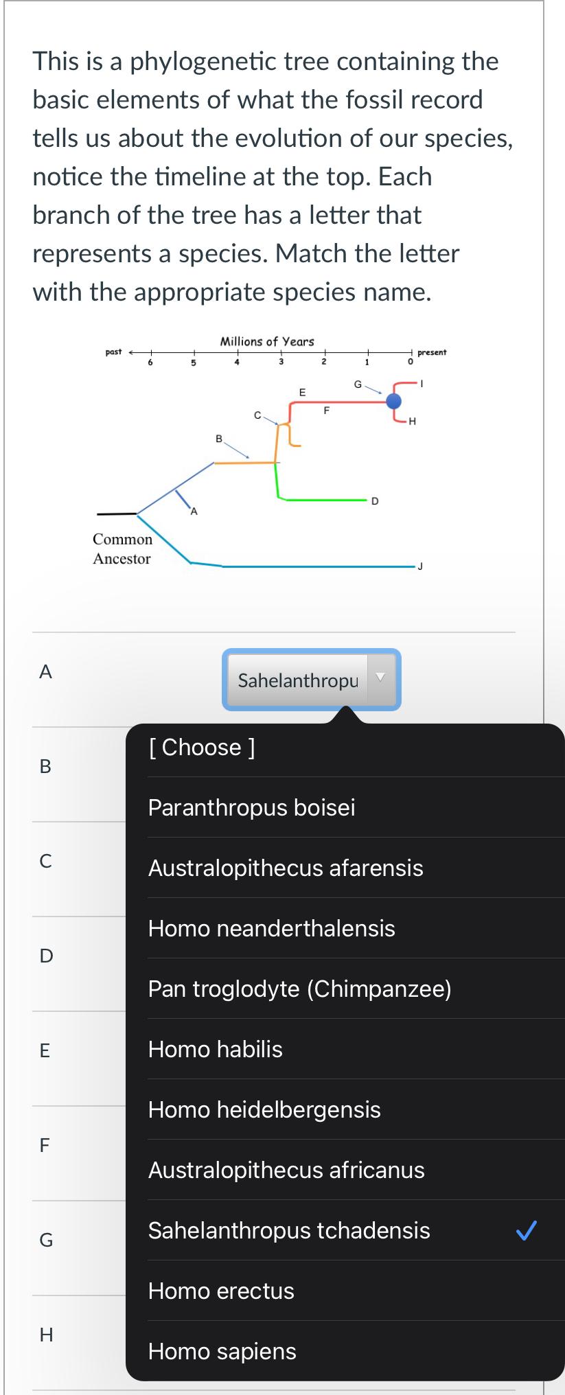 Solved This is a phylogenetic tree containing the basic | Chegg.com