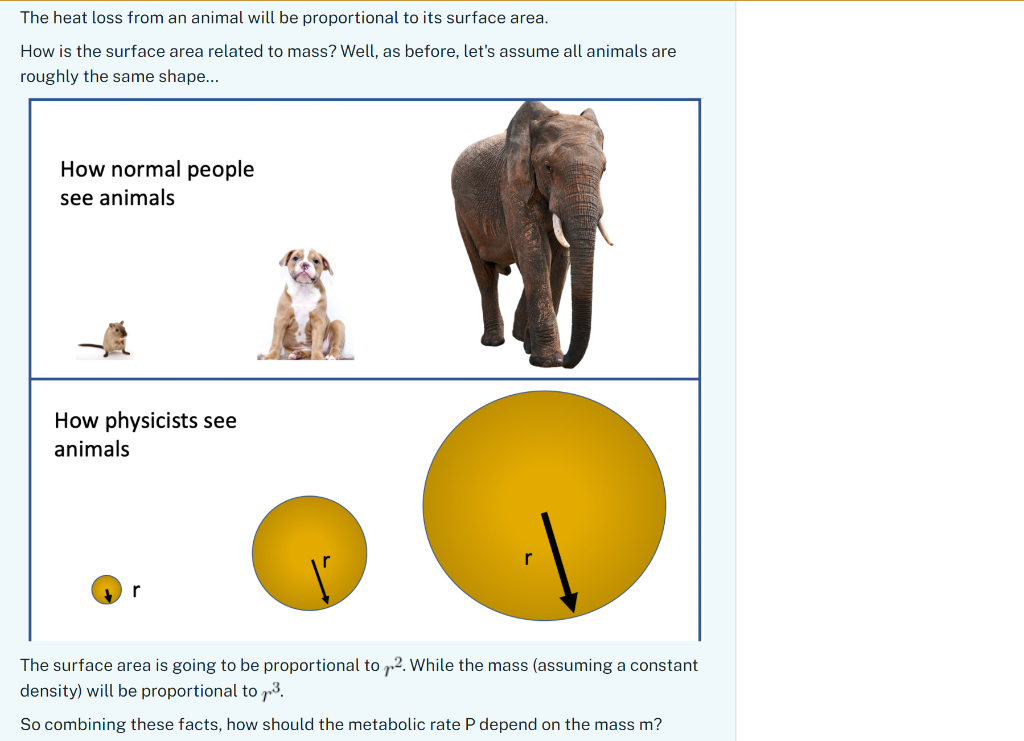 Solved The heat loss from an animal will be proportional to | Chegg.com