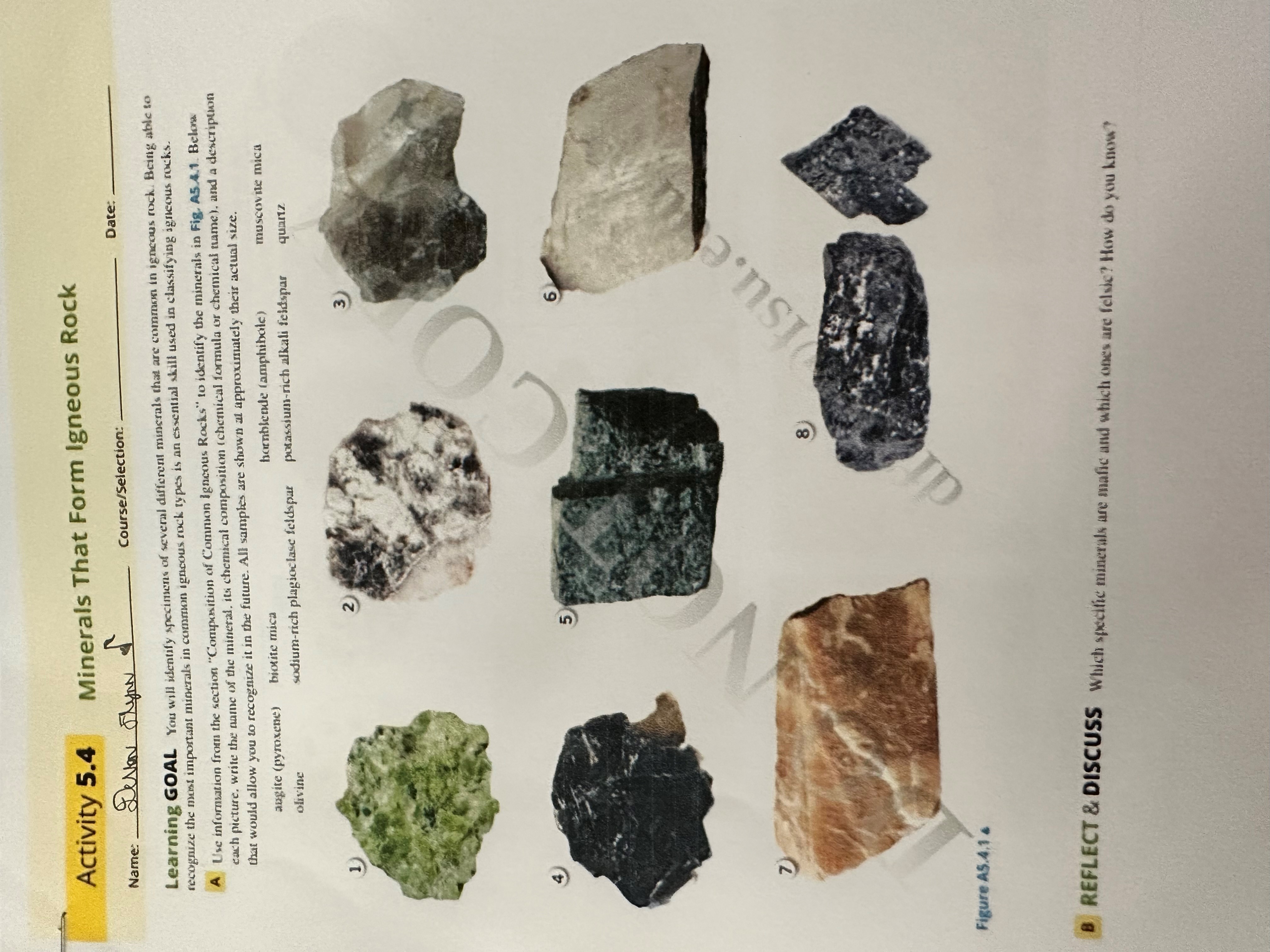 Solved Name: Figure A5.5.1. The matic minarais in photo A | Chegg.com