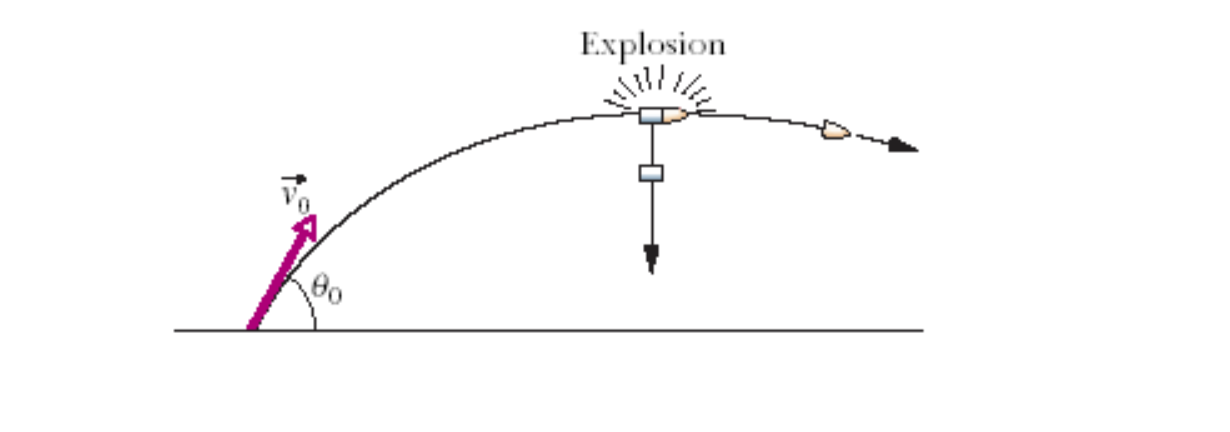 Solved A shell is shot with an initial velocity of V0 of 20 | Chegg.com