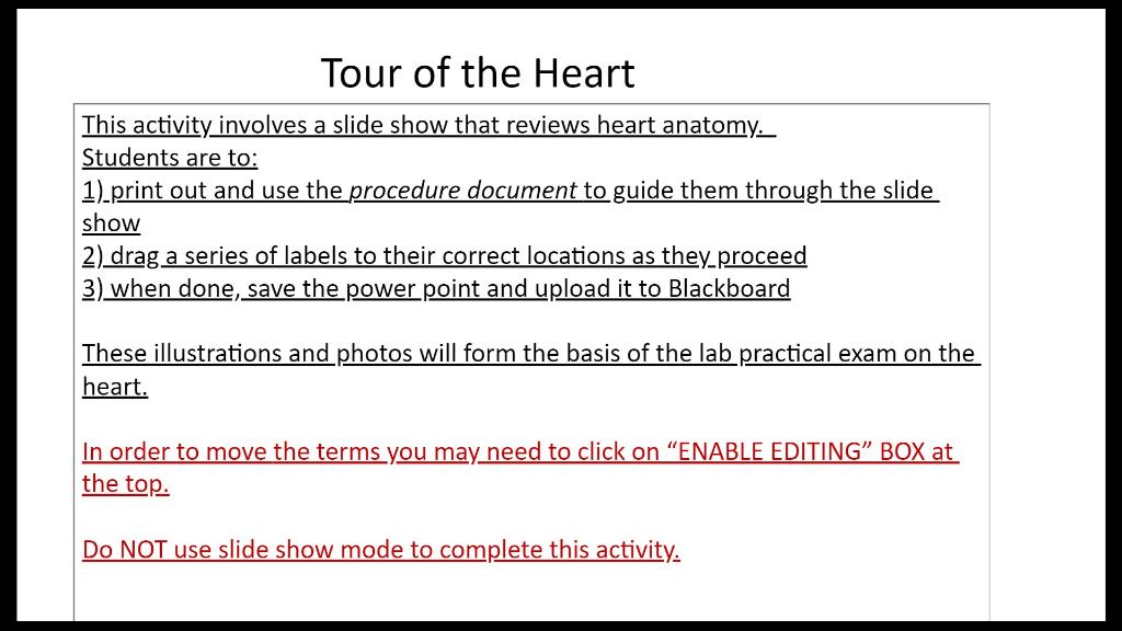 Solved Ch 18 Lab activity 1: Review of heart anatomy | Chegg.com