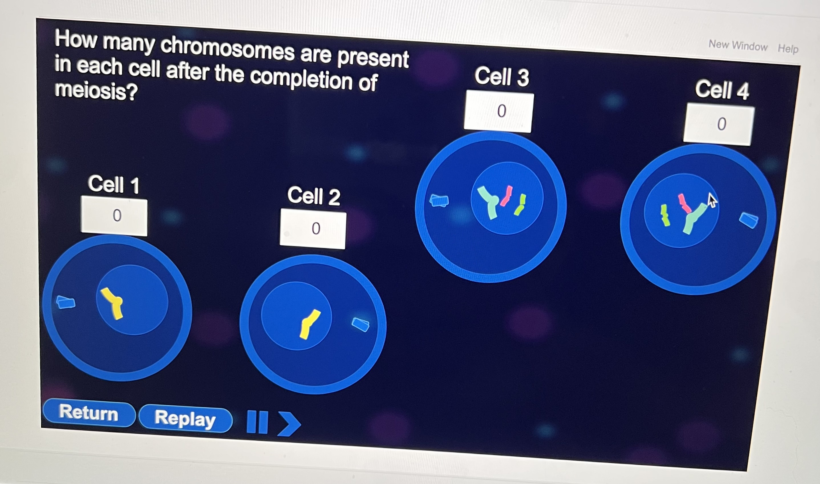 Solved Part 3 how many chromosomes are present in each cell | Chegg.com
