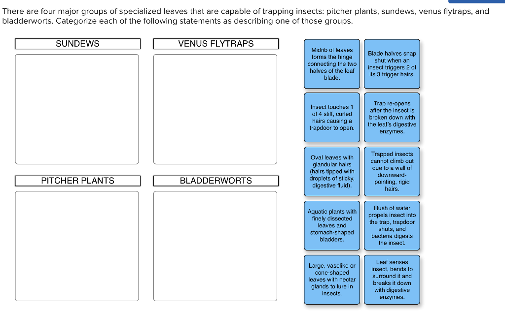 Solved There are four major groups of specialized leaves | Chegg.com