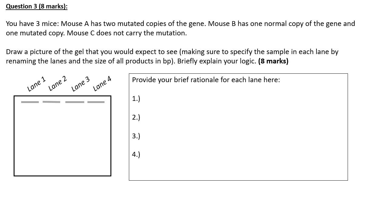 Solved Question 3 (8 marks: You have 3 mice: Mouse A has two | Chegg.com
