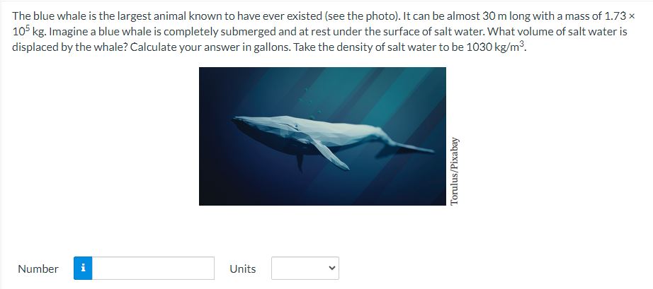 Solved The blue whale is the largest animal known to have | Chegg.com