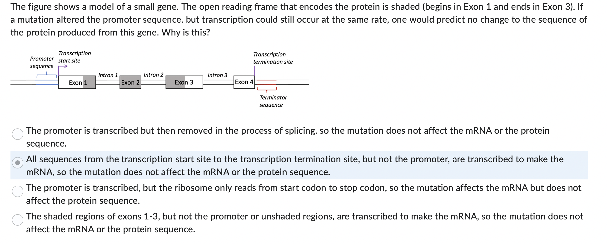 Solved The figure shows a model of a small gene. The open | Chegg.com