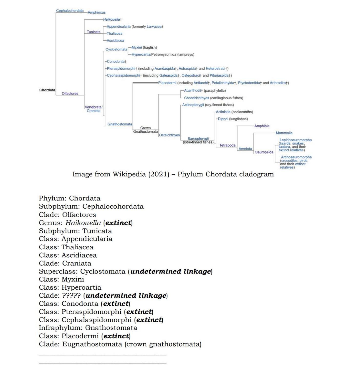 Solved Taxonomic ranking based on cladistics In this | Chegg.com