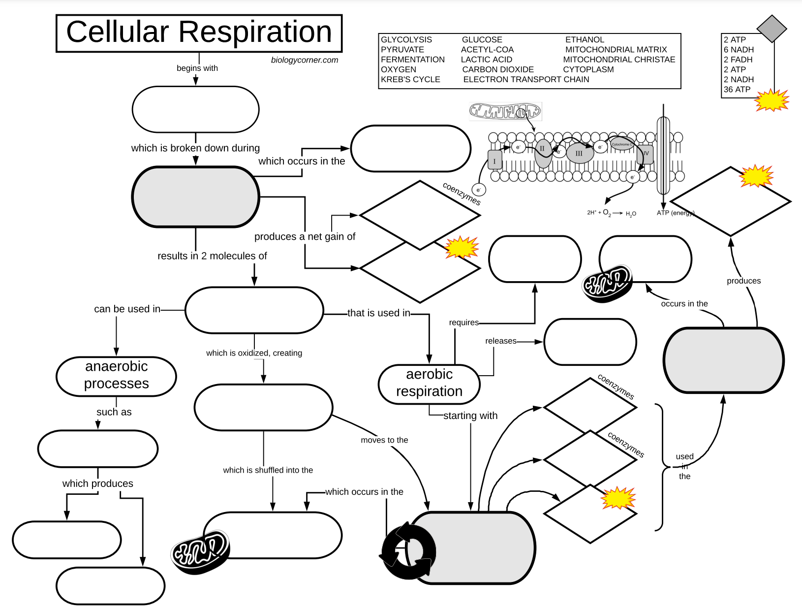 Solved Please, fill in the blanks | Chegg.com