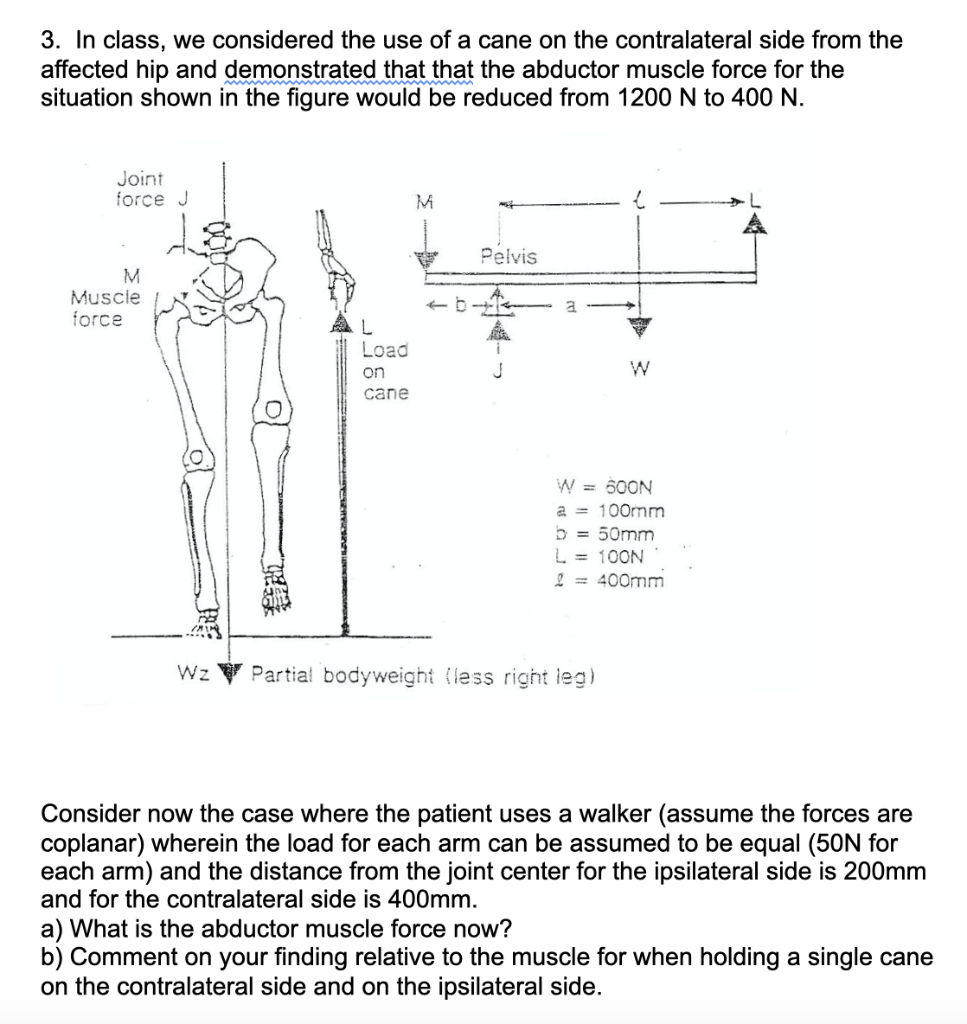 Solved 3. In class, we considered the use of a cane on the | Chegg.com