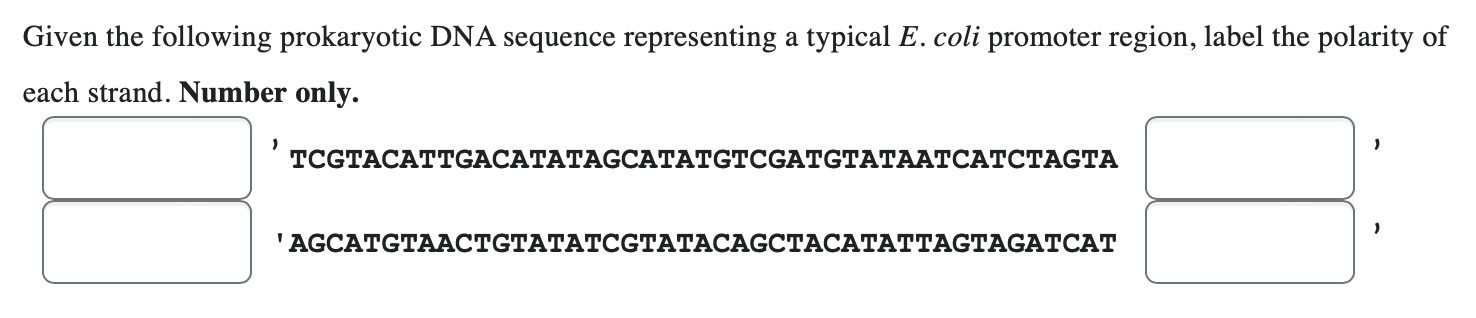 Solved Given the following prokaryotic DNA sequence | Chegg.com