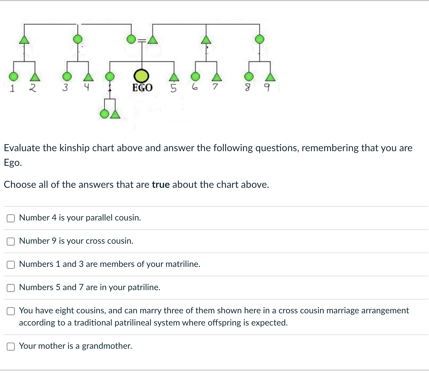 Solved Evaluate the kinship chart above and answer the | Chegg.com