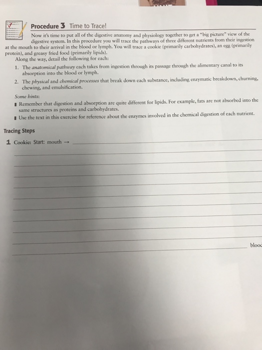 Solved Procedure 3 Time to Trace! Now it's time to put all | Chegg.com