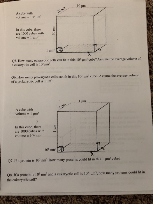 Solved 10 um A cube with volume 103 μm In this cube, there | Chegg.com