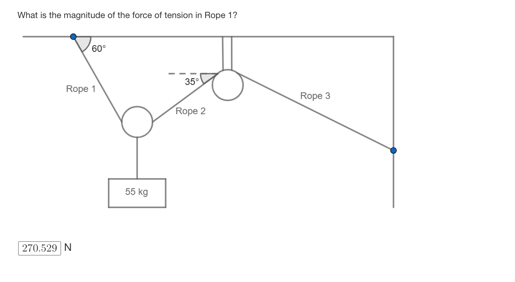 Solved What is the magnitude of the force of tension in Rope | Chegg.com