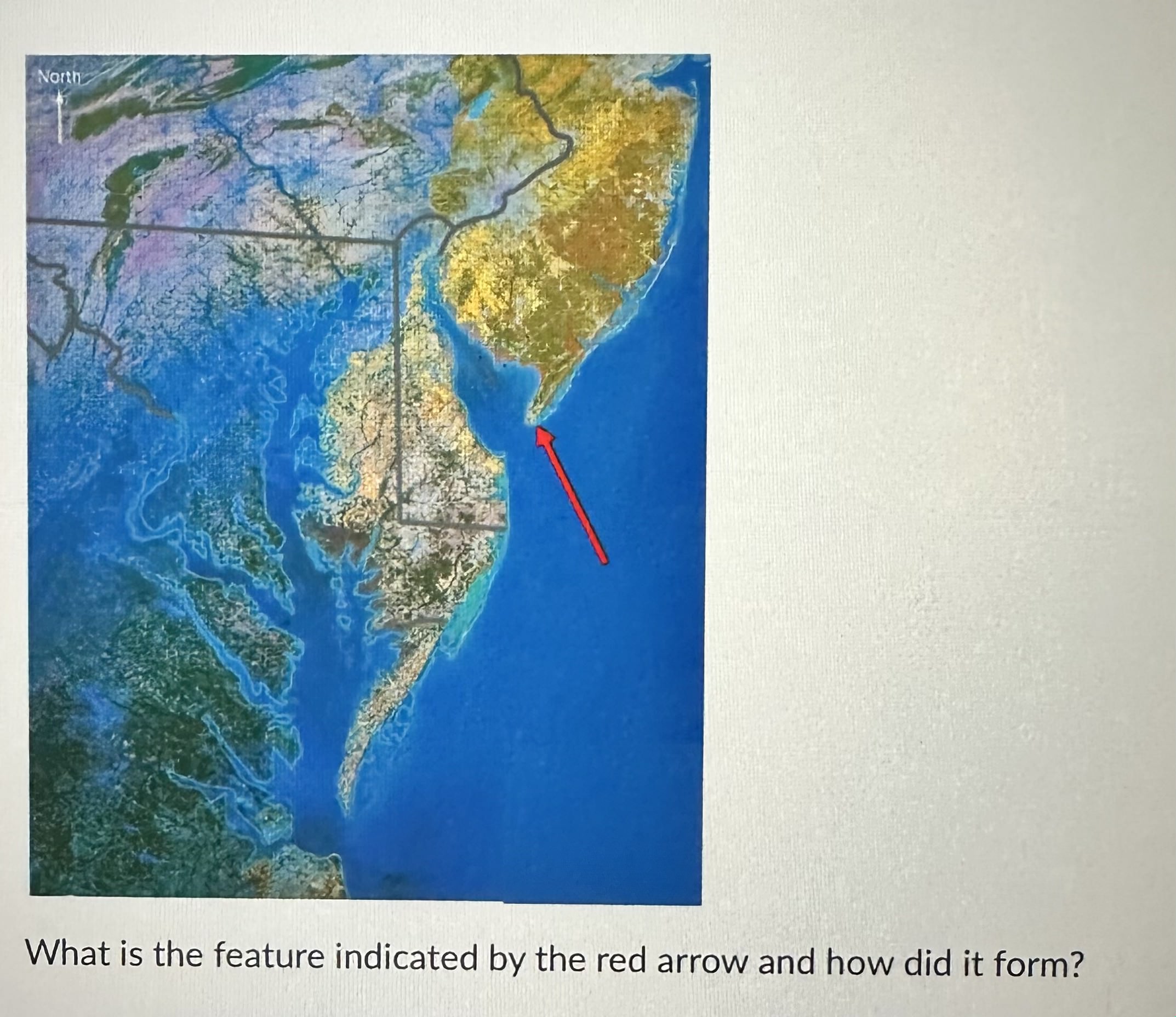 Solved What is the feature indicated by the red arrow and | Chegg.com