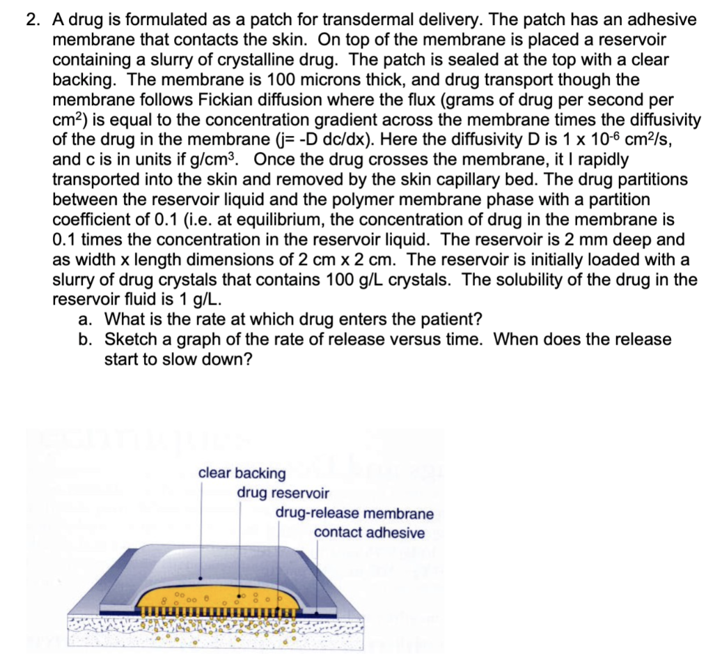2. A drug is formulated as a patch for transdermal | Chegg.com