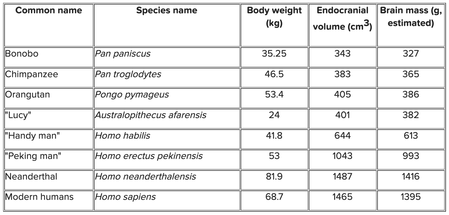 1) Certain species of birds are known for complex | Chegg.com