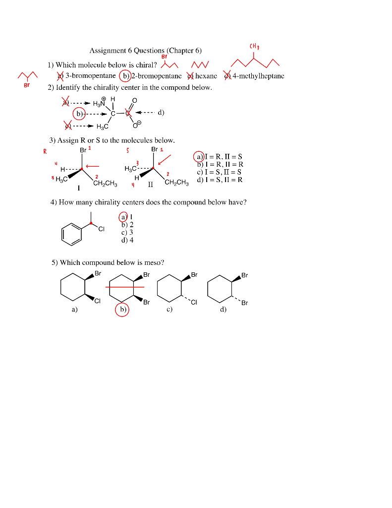 Solved CH3 Assignment 6 Questions (Chapter 6) BI 1) Which | Chegg.com