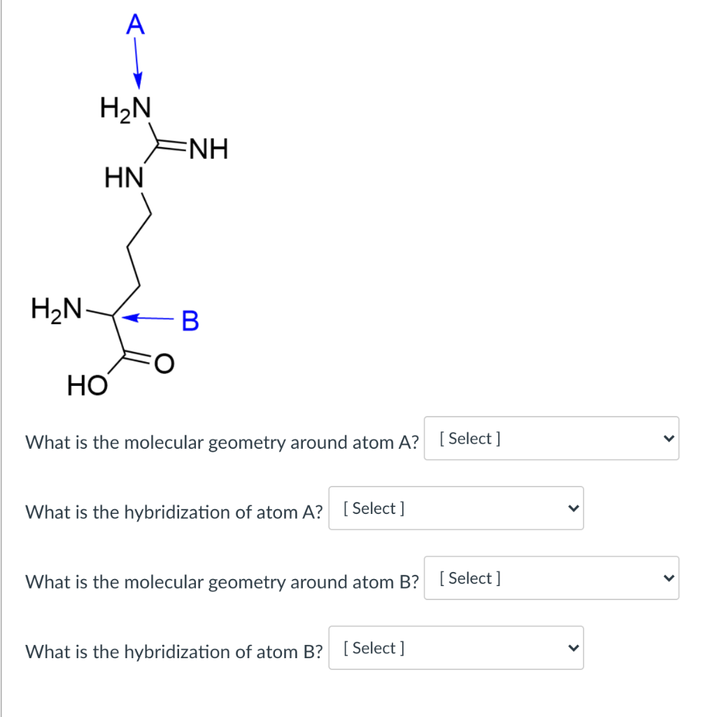 Solved A H2N ENH HN HN B HO What is the molecular geometry | Chegg.com