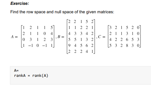 Solved Rank and Nullity This activity shall determine the | Chegg.com