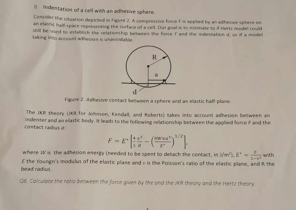 Solved B. Indentation of a cell with an adhesive sphere. | Chegg.com