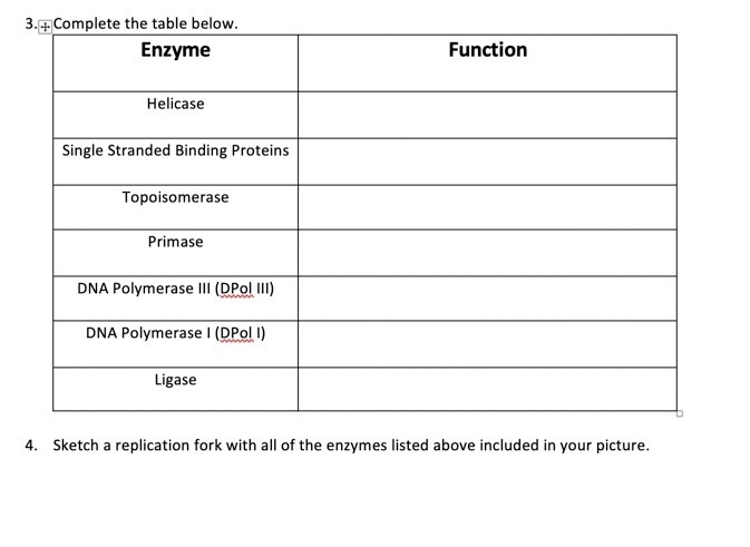 Solved Complete the table below. Enzyme 3. Function Helicase | Chegg.com