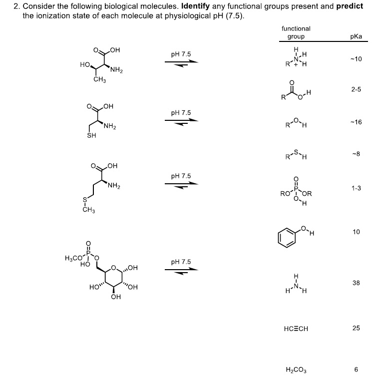 Solved 2. Consider the following biological molecules. | Chegg.com
