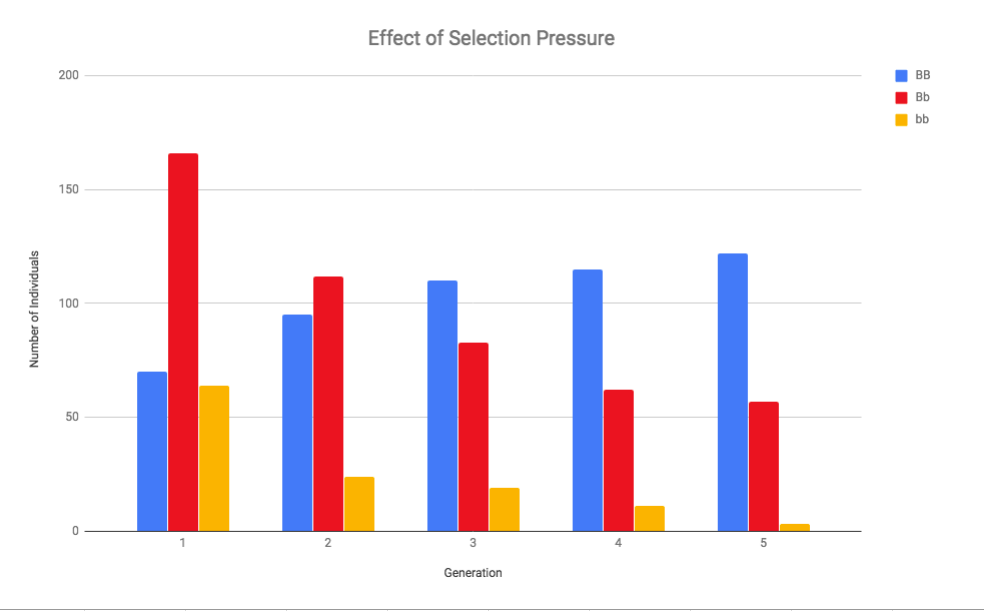 Solved In the space below discuss what happens to this | Chegg.com