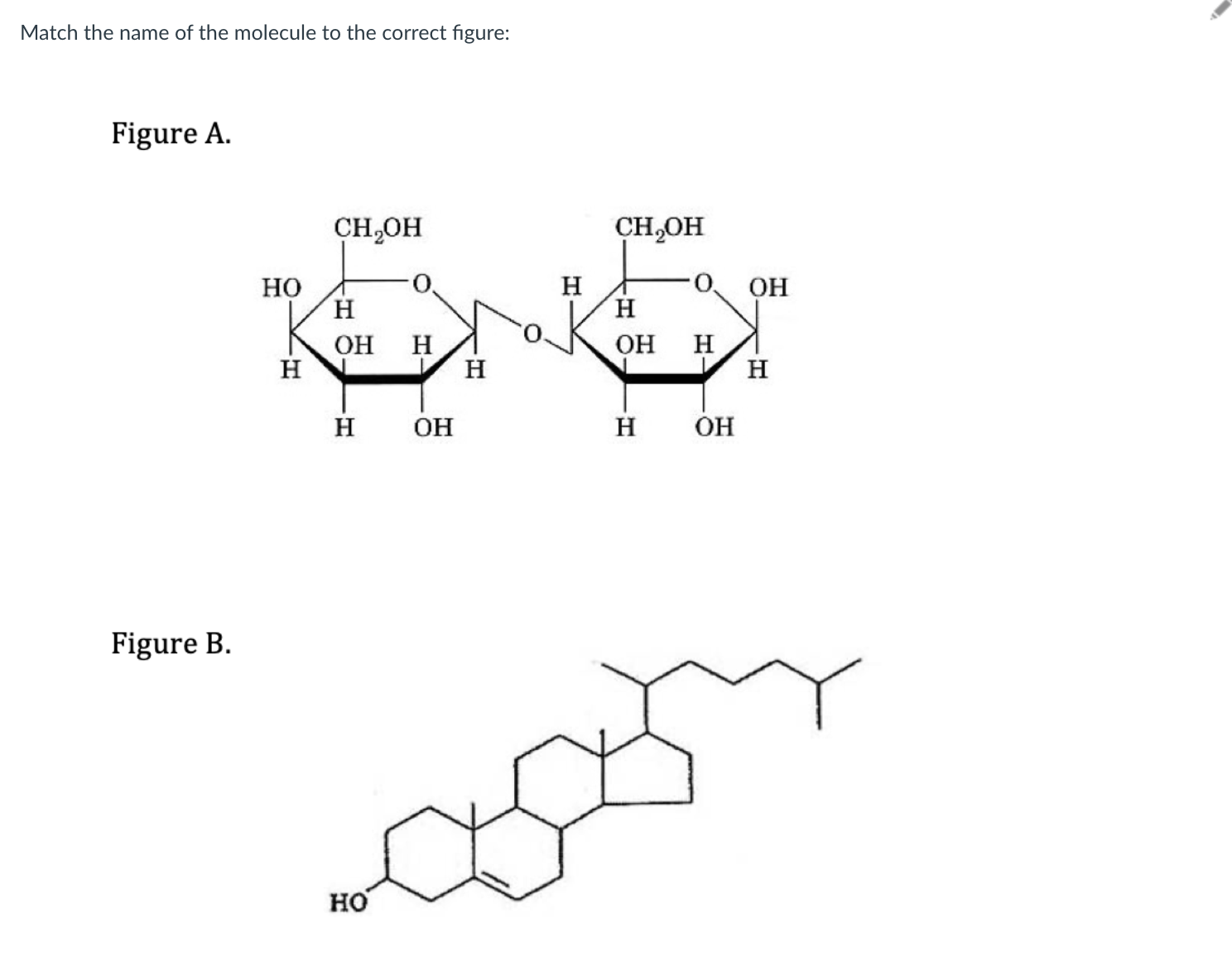 Solved Match the name of the molecule to the correct | Chegg.com