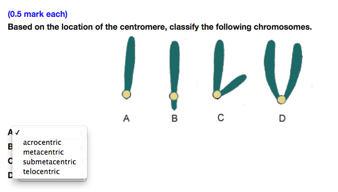 Solved (0.5 mark each) Based on the location of the | Chegg.com