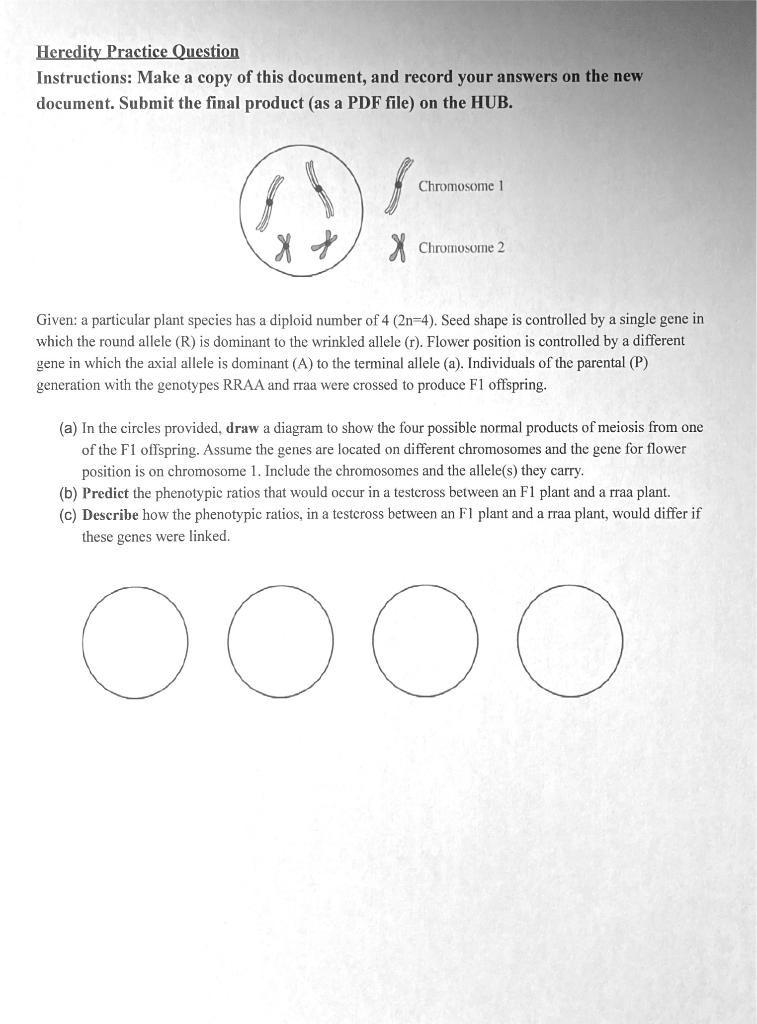 Solved Heredity Practice Question Instructions: Make a copy | Chegg.com