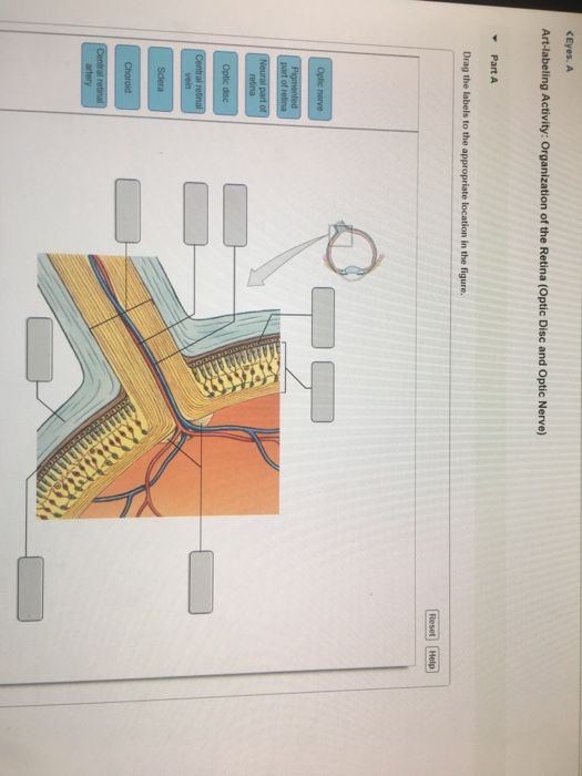 Solved Question | Chegg.com