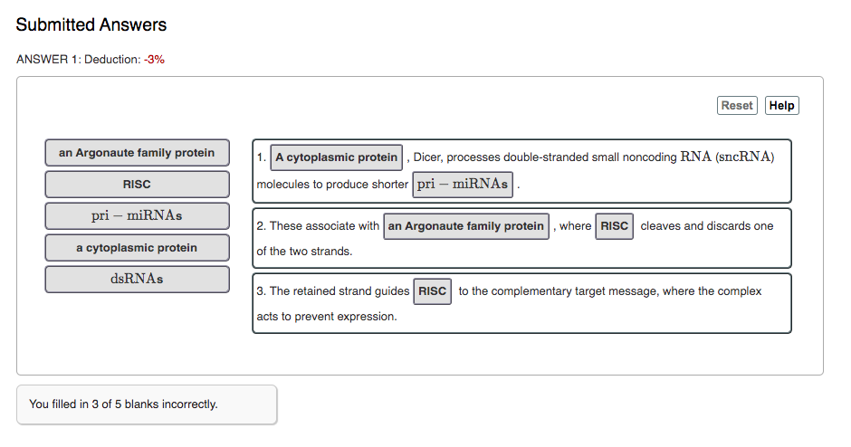 Solved Present an overview of RNA interference (RNAi).How | Chegg.com