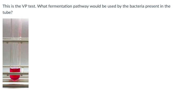 Solved This is the VP test. What fermentation pathway would | Chegg.com