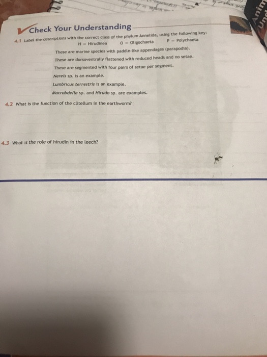 Solved Check Your Understanding 4.1 Label the descriptions | Chegg.com