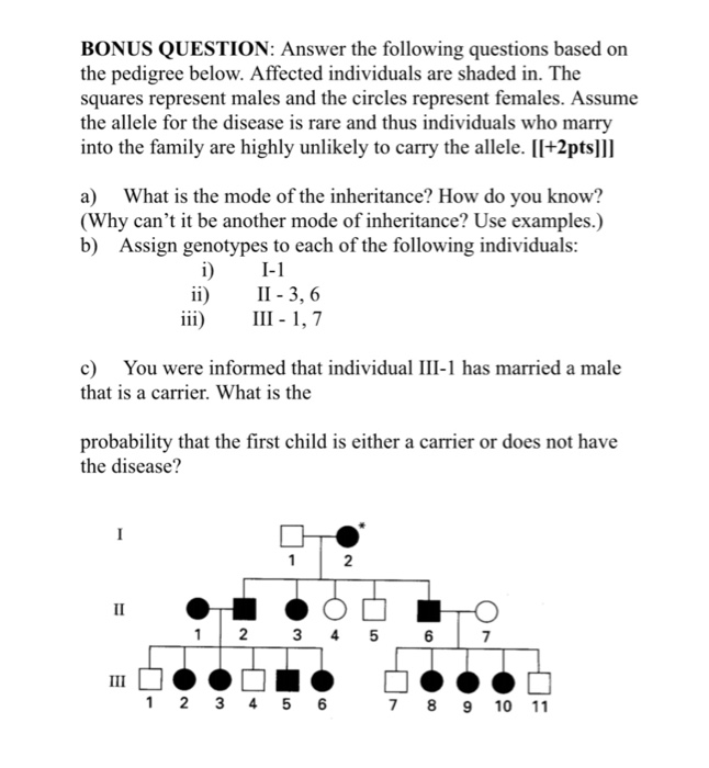 Solved BONUS QUESTION: Answer the following questions based | Chegg.com Solved BONUS QUESTION: Answer the following questions based | Chegg.com