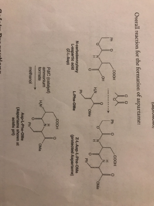Solved Overall reaction for the formation of aspartame соон | Chegg.com