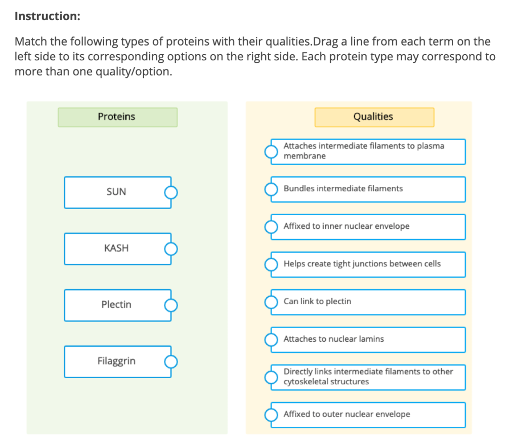 Solved Instruction: Match the following types of proteins | Chegg.com