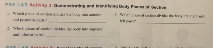 Solved PRE-LAB Activity 3: Demonstrating and Identifying | Chegg.com Solved PRE-LAB Activity 3: Demonstrating and Identifying | Chegg.com