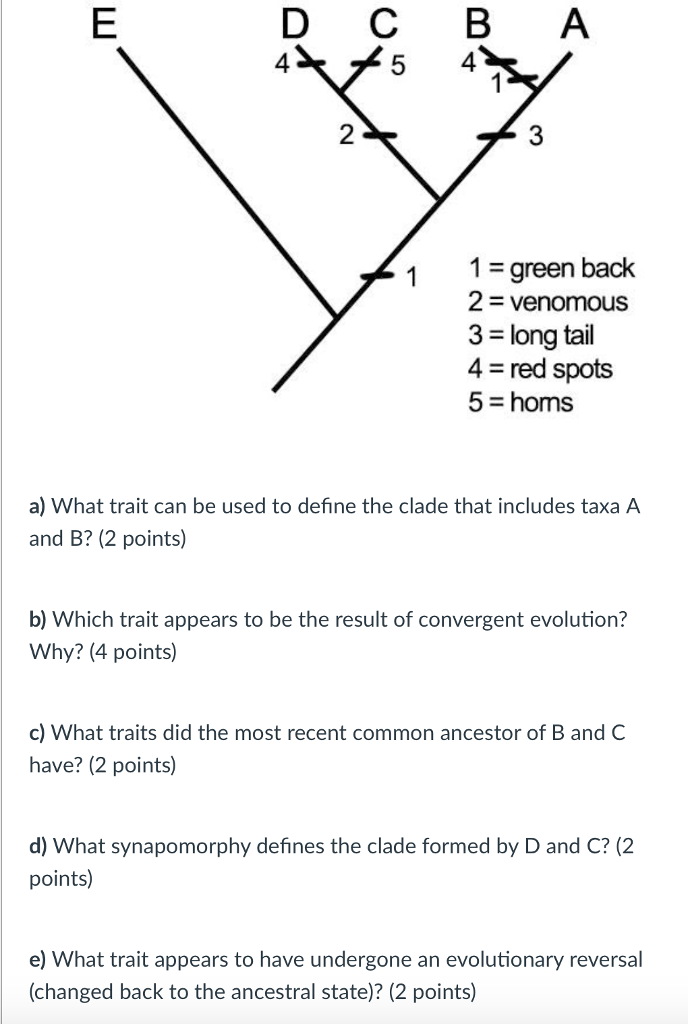 Evolutionary Reversal