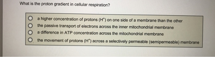 Solved What is the proton gradient in cellular respiration? | Chegg.com